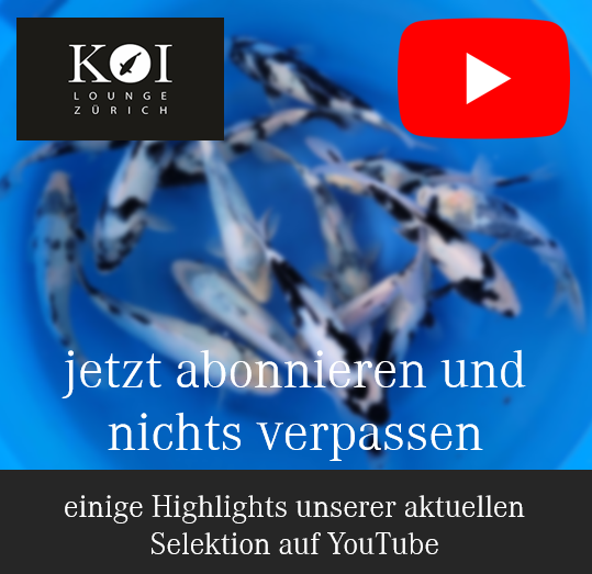 Startseite | koi-lounge.ch