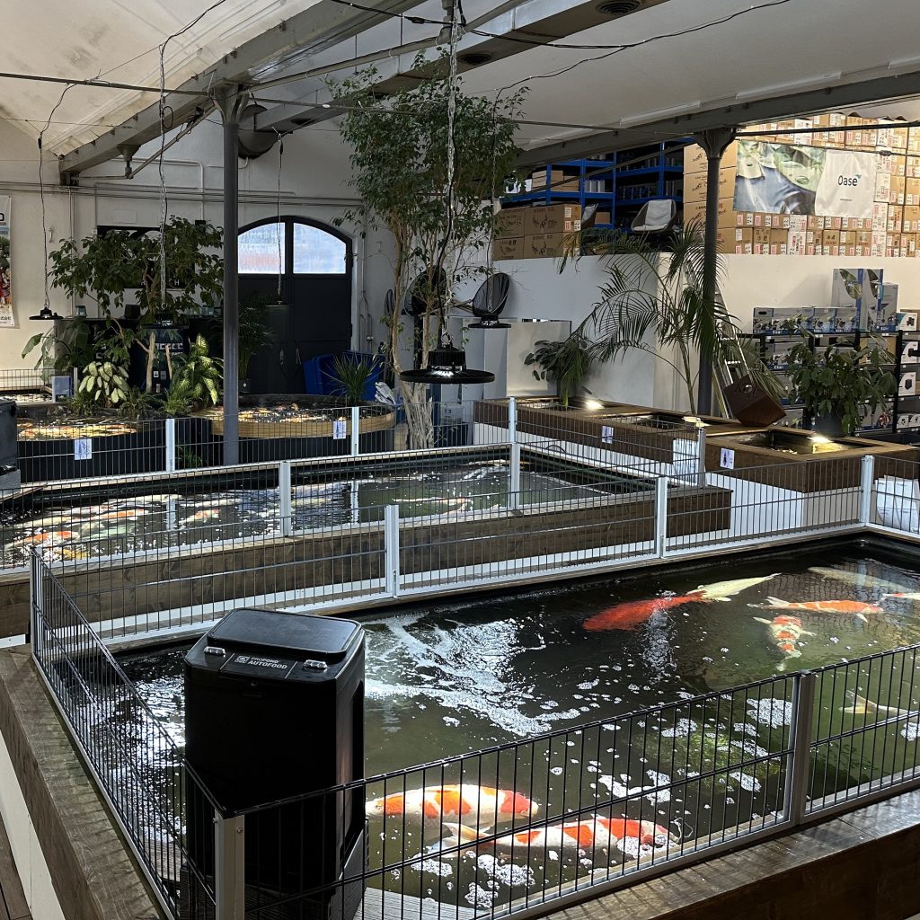 ÜBER UNS – koi-lounge.ch